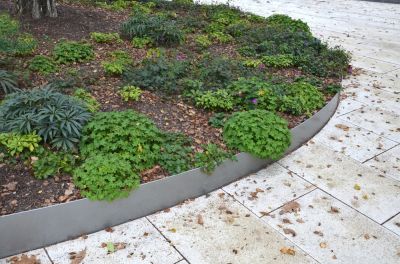 Durable Metal Lawn Edging for Crisp, Clean Borders